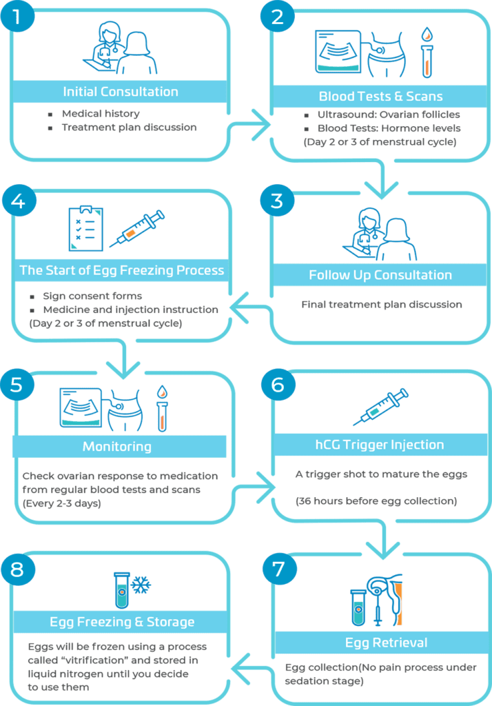 Social Egg Freezing Service, Process, Success rates