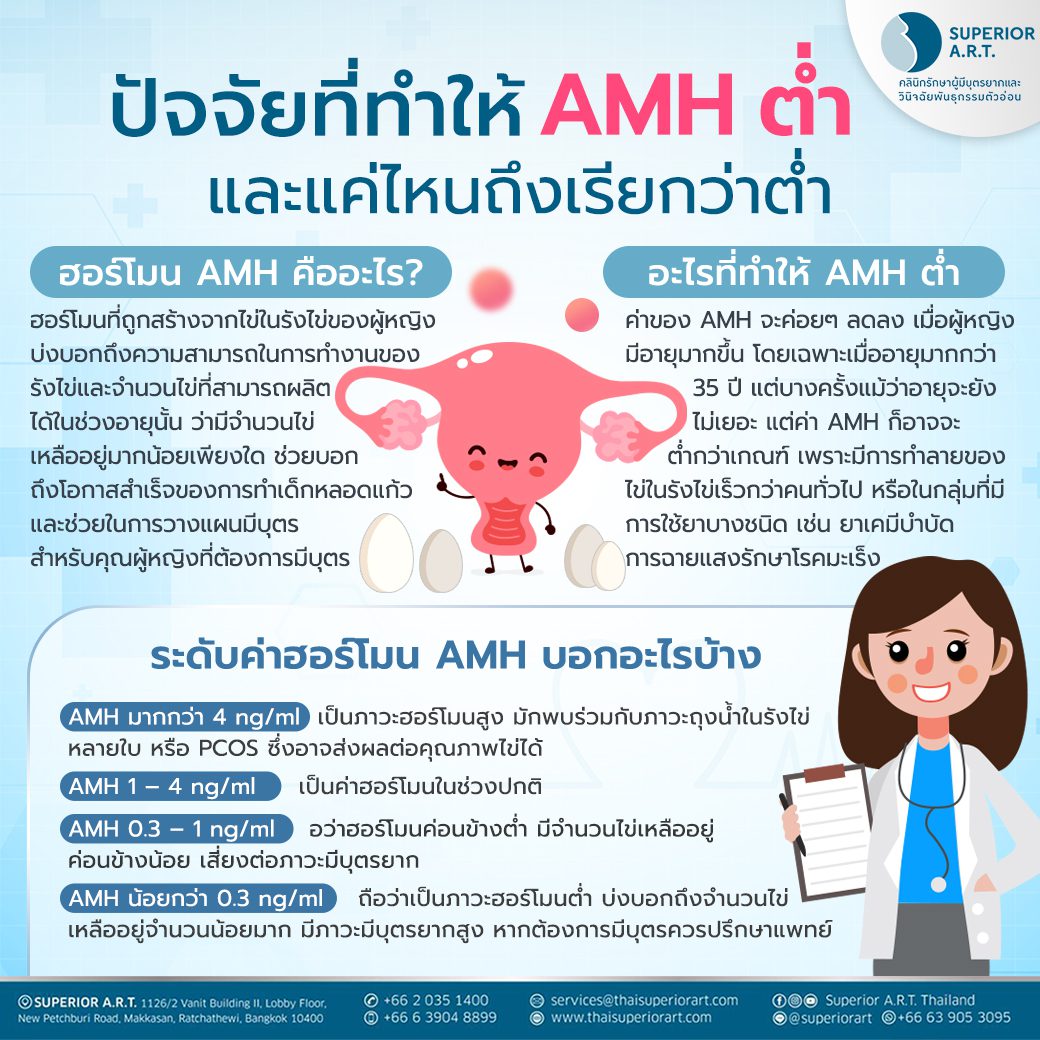 ปัจจัยที่ทำให้ AMH ต่ำ และแค่ไหนถึงเรียกว่าต่ำ